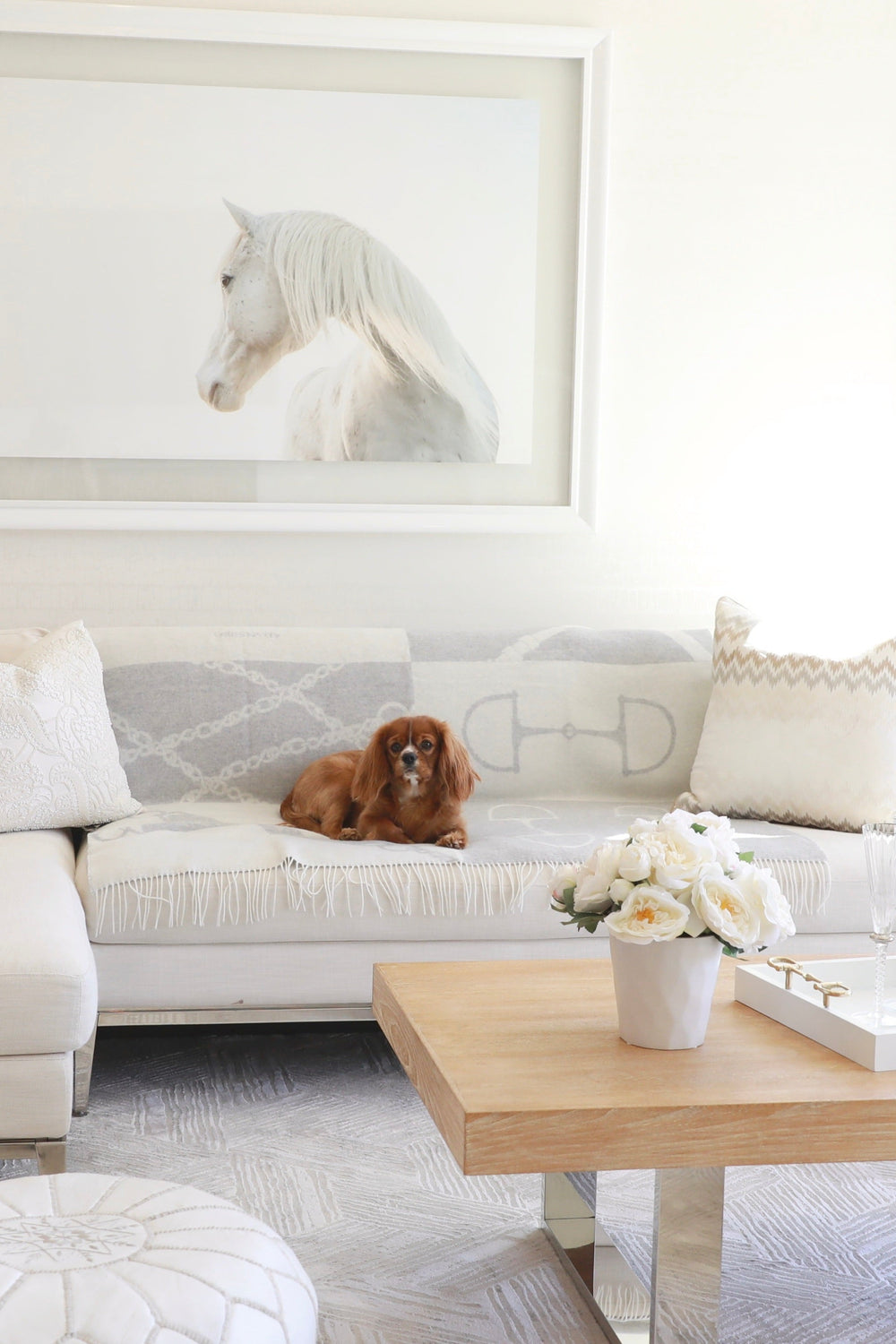 Equine Cashmere Throw - Light Grey